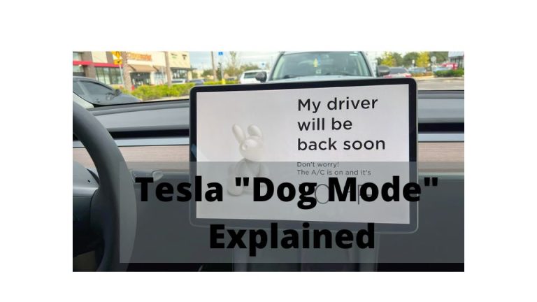 What is Tesla Dog Mode? (The Ultimate Guide)